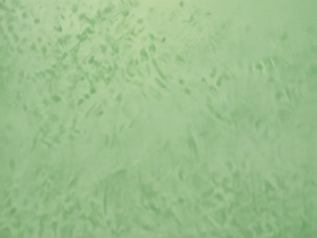 Soft Green Abstract Background with Subtle Textures and Patterns for Design