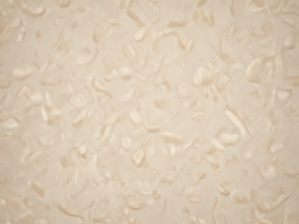 A Close-Up View of Textured, Light-Colored Material with Subtle Patterns.