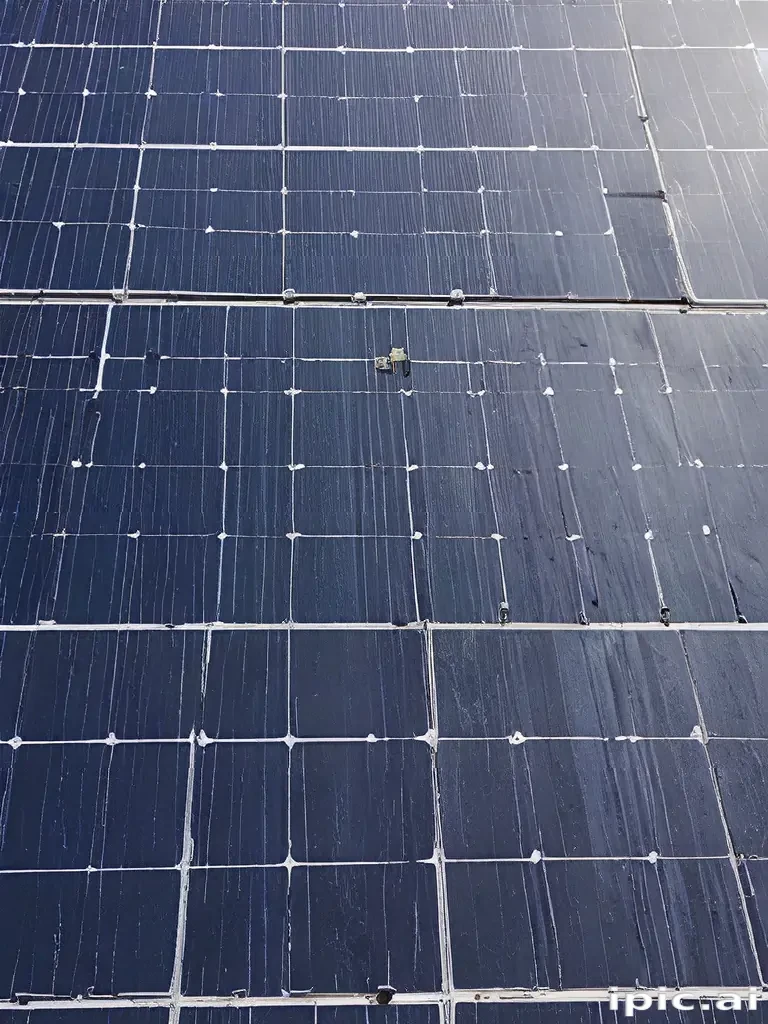 Expansive Solar Panel Array Harnessing Renewable Energy from the Sun
