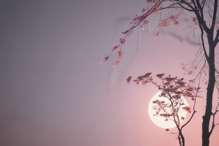Soft Sunset Glow Behind Delicate Branches and Blossoming Flowers in Spring