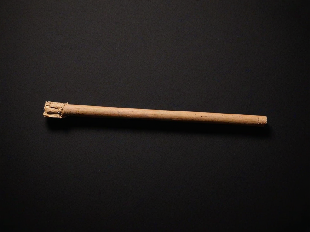 A Simple Wooden Stick with a Rough, Frayed End on Black Background