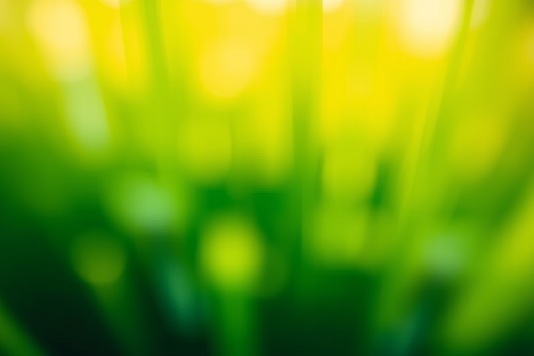 Create a soft focus abstract image with a gradient of vibrant green ...