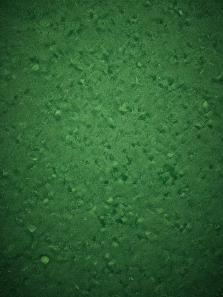 Textured Green Background with Subtle Variations and Natural Patterns ...