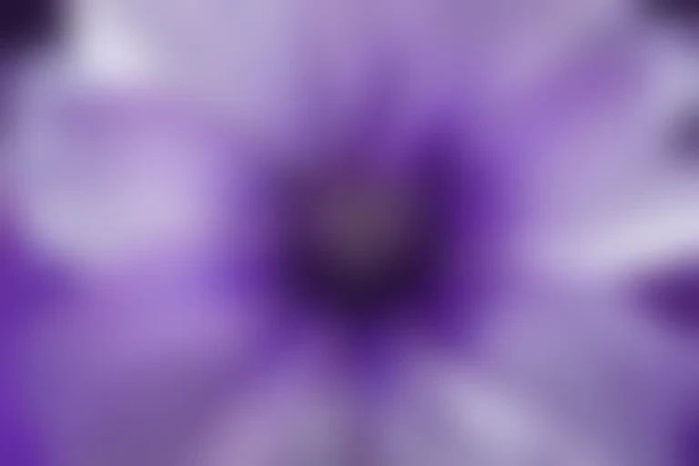 A Beautiful Close-Up of a Delicate Purple Flower in Bloom.