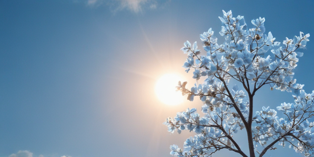 Bright Sunlight Shining Through Beautiful Blossoming Tree Against Clear Sky