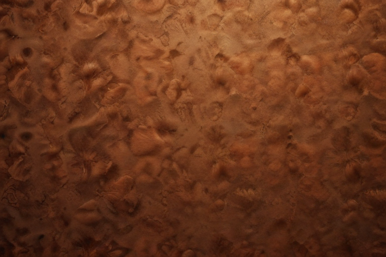 Intricate Patterns of Rich, Warm Brown Wood Texture in Nature