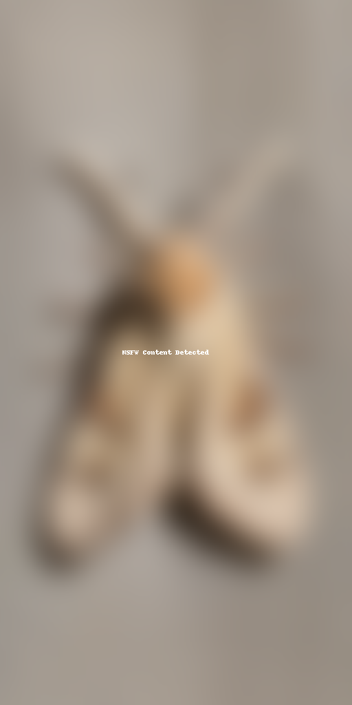 A Close-Up View of a Beautiful Moth Resting on a Surface