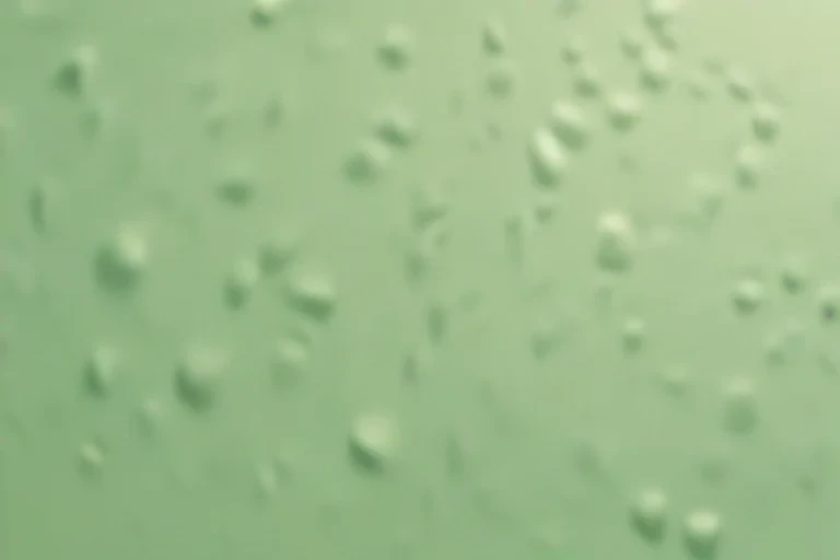 Close-Up of Water Droplets on a Soft Green Surface Background