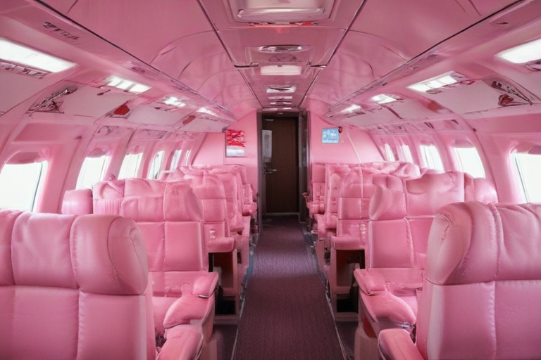 Inside pink plane
