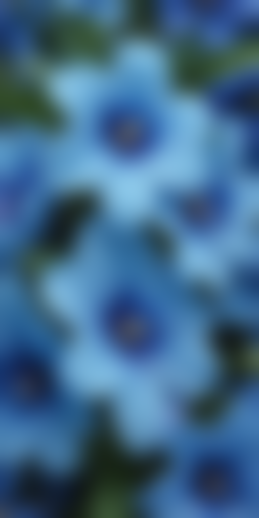 A Vibrant Display of Blue Flowers Blooming in a Lush Green Garden.