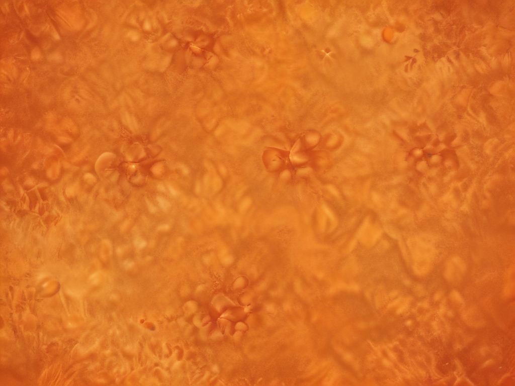 Abstract Close-Up of Vibrant Orange Textures with Organic Patterns and ...