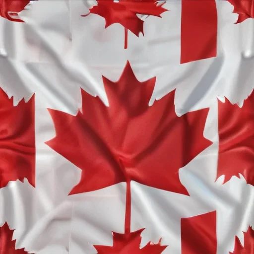 Vibrant Display of the Canadian Flag with Maple Leaf Motifs
