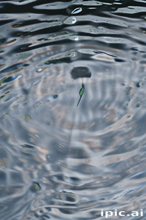 Calm Water Surface with a Single Leaf Floating in the Ripples