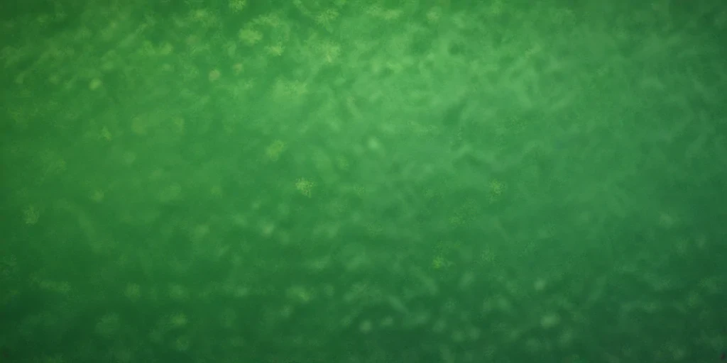 A Vibrant, Textured Green Background Perfect for Nature-Themed Designs ...