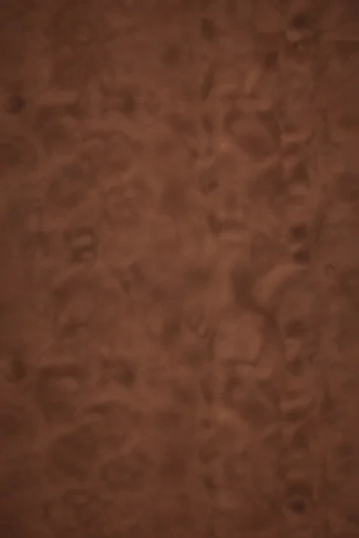 A Rich, Textured Brown Background Evoking Warmth and Earthy Elegance.
