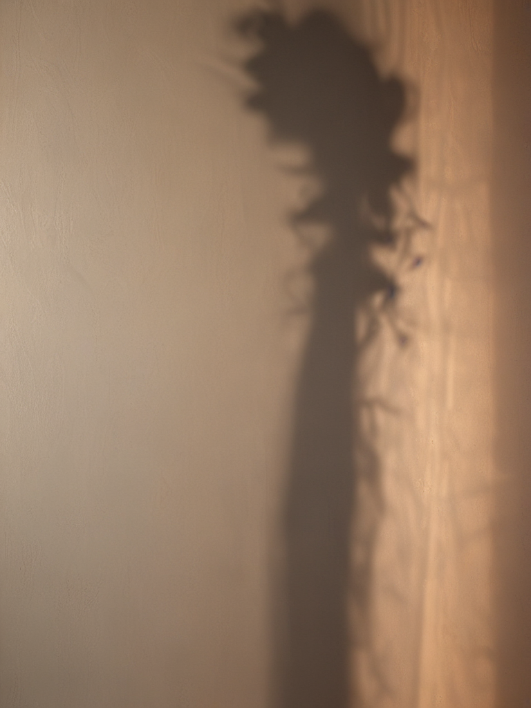 Intriguing Shadow Play on a Softly Textured Wall in Warm Light