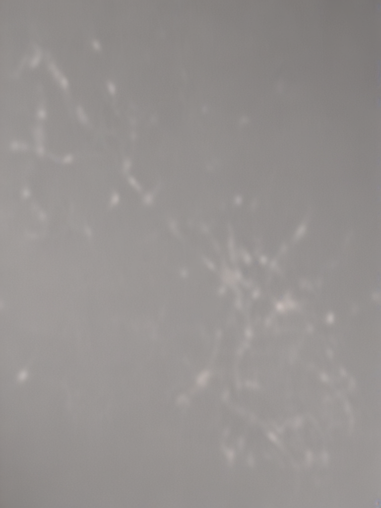 Abstract Microscopic View of Cellular Structures in a Scientific Experiment
